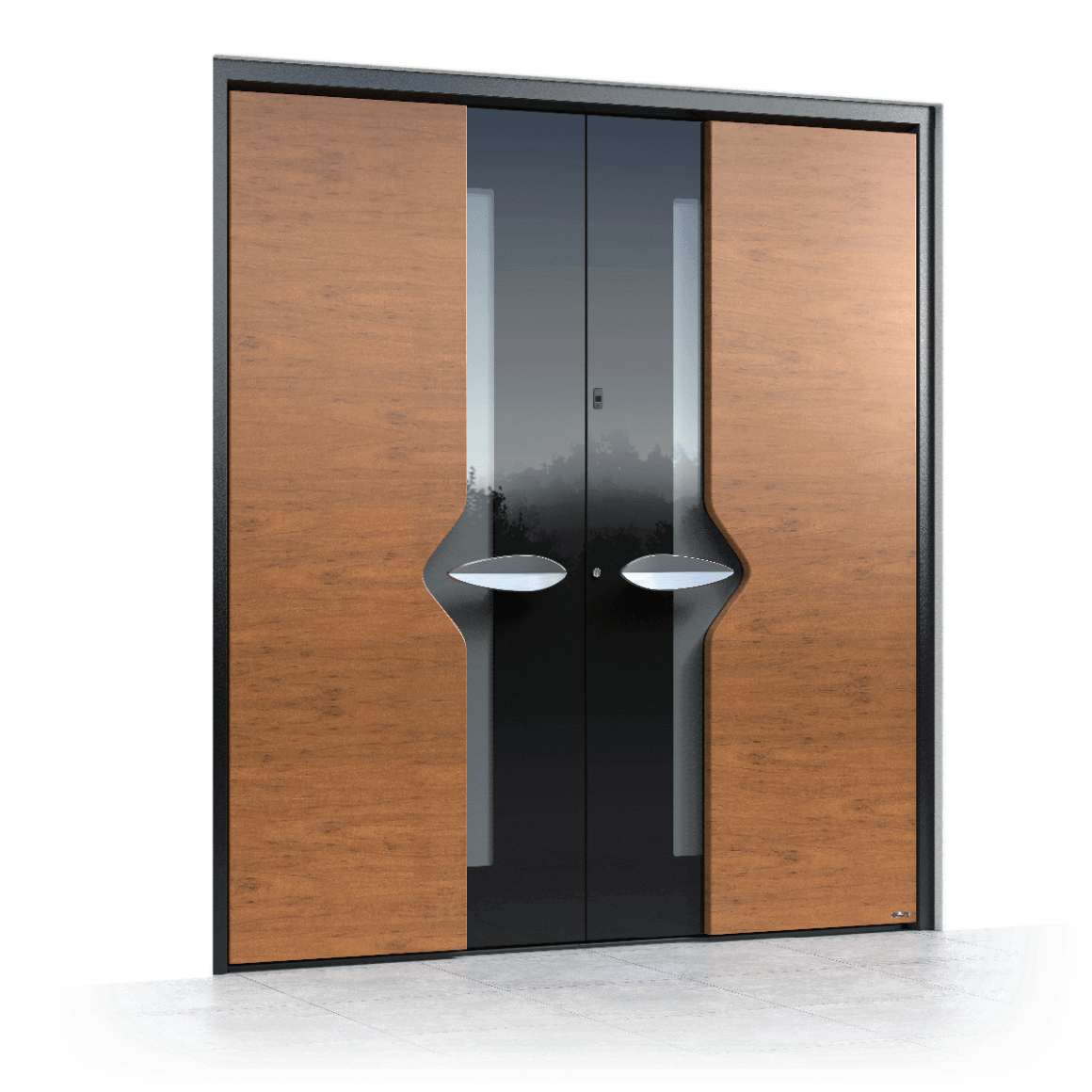 Double porte d'entrée » vaste choix de portes de luxe | PIRNAR